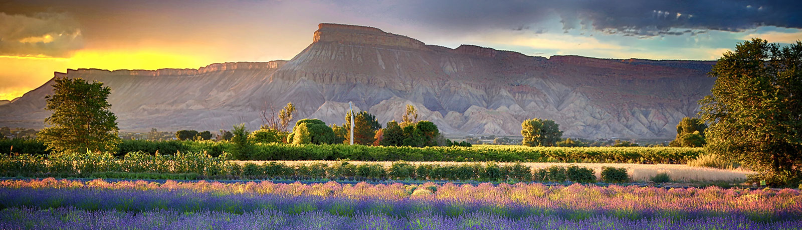 Our Blog - Sage Creations Farm